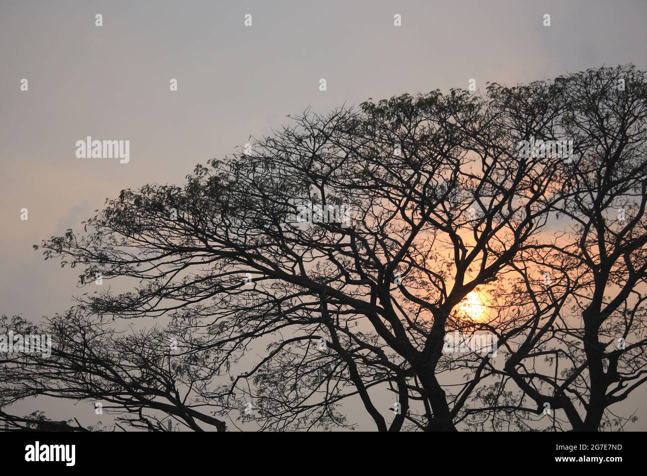 Danube ecosystems hi-res stock photography and images - Alamy