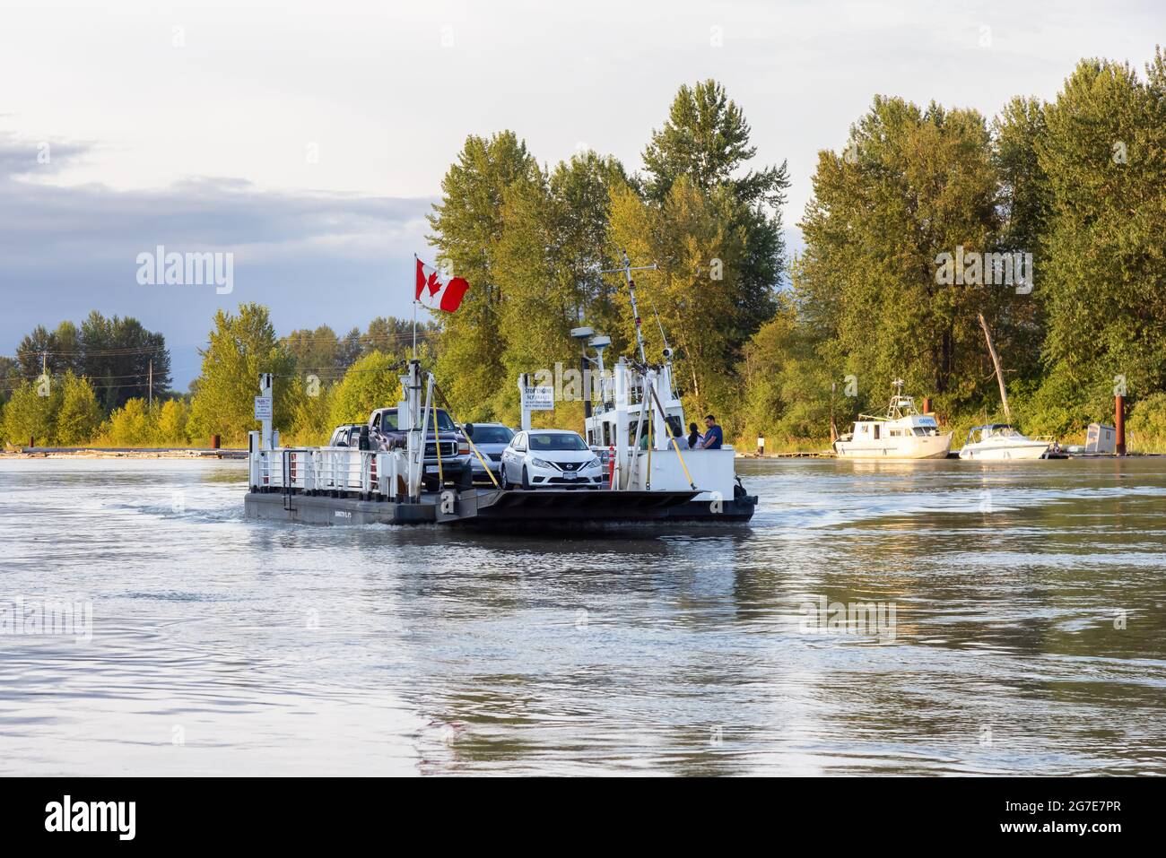 Barnston Island Ferry going across Fraser River Stock Photo - Alamy