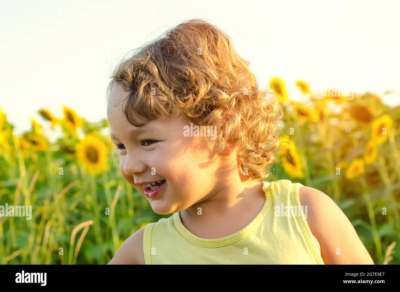 little boy in sunflower field Stock Photo - Alamy