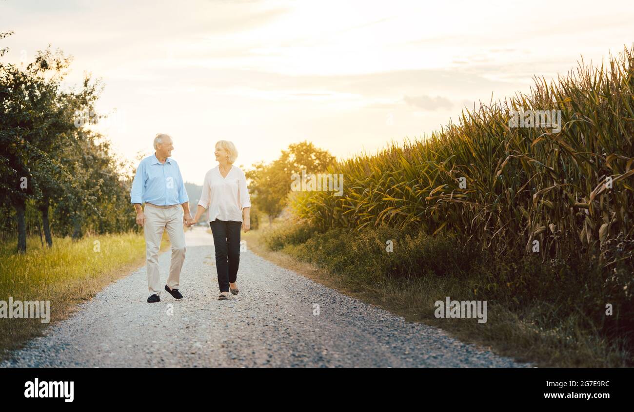 Senior woman and man having a walk along a field holding hands Stock ...