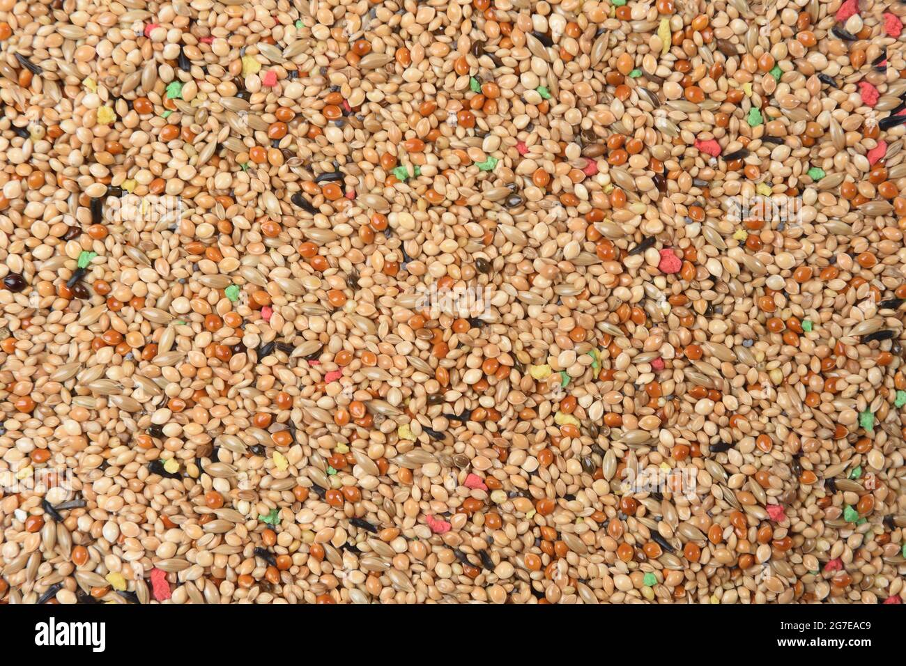 texture of bird food, tropical bird grain mix Stock Photo - Alamy