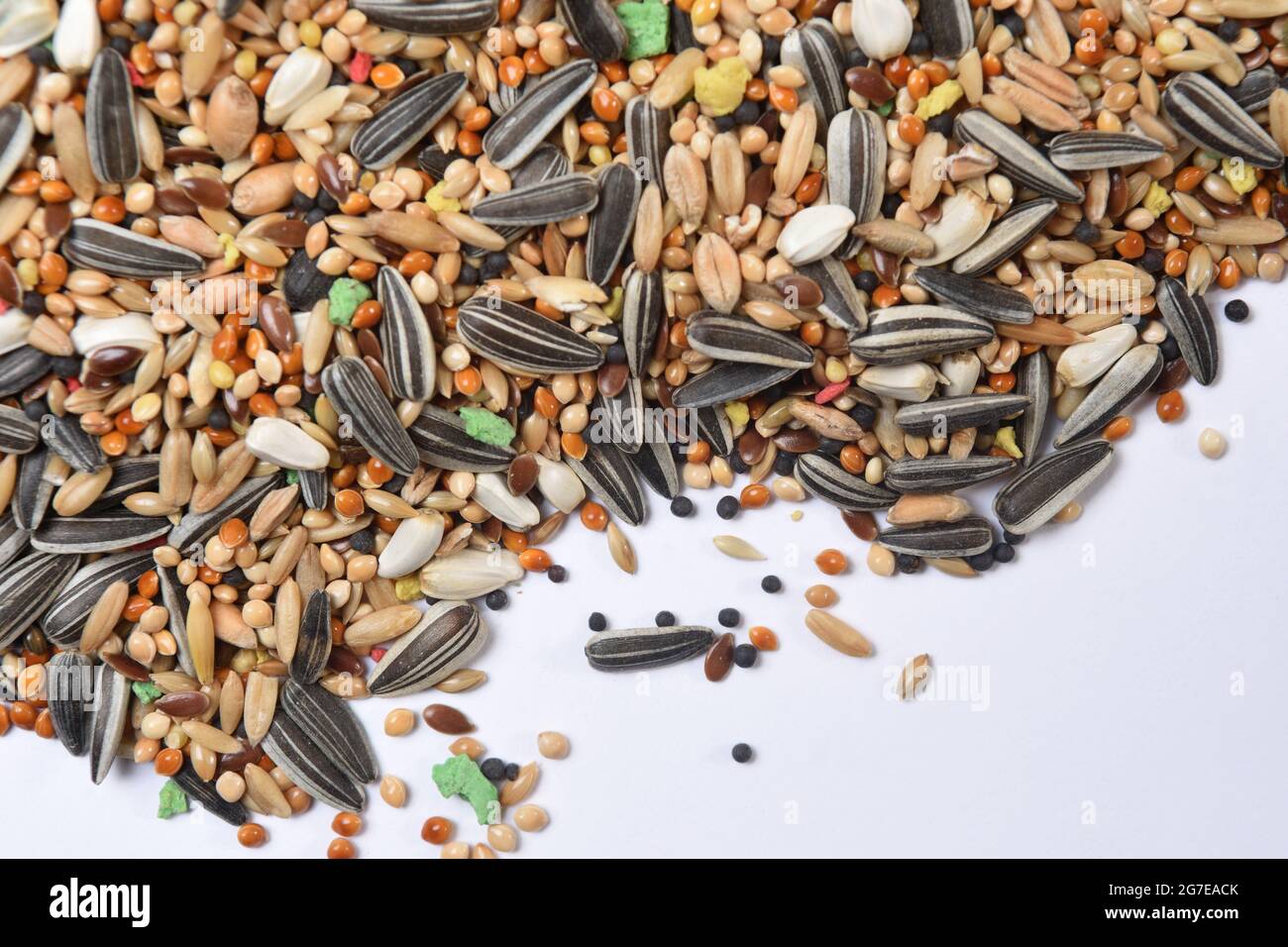 food mix of parakeet; lovebird; parrot…,blank space Stock Photo - Alamy