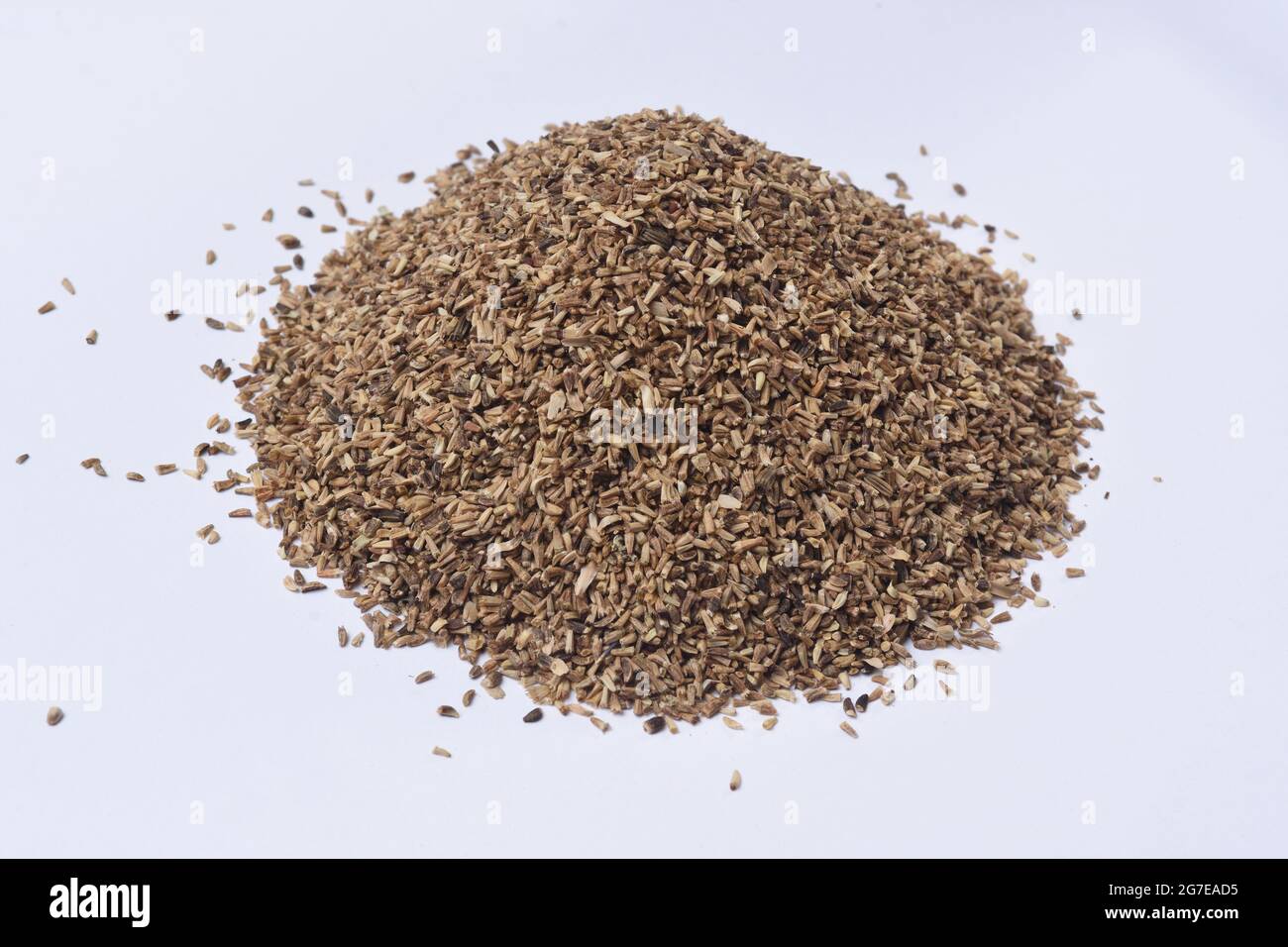 pile of endive seeds on white background Stock Photo - Alamy