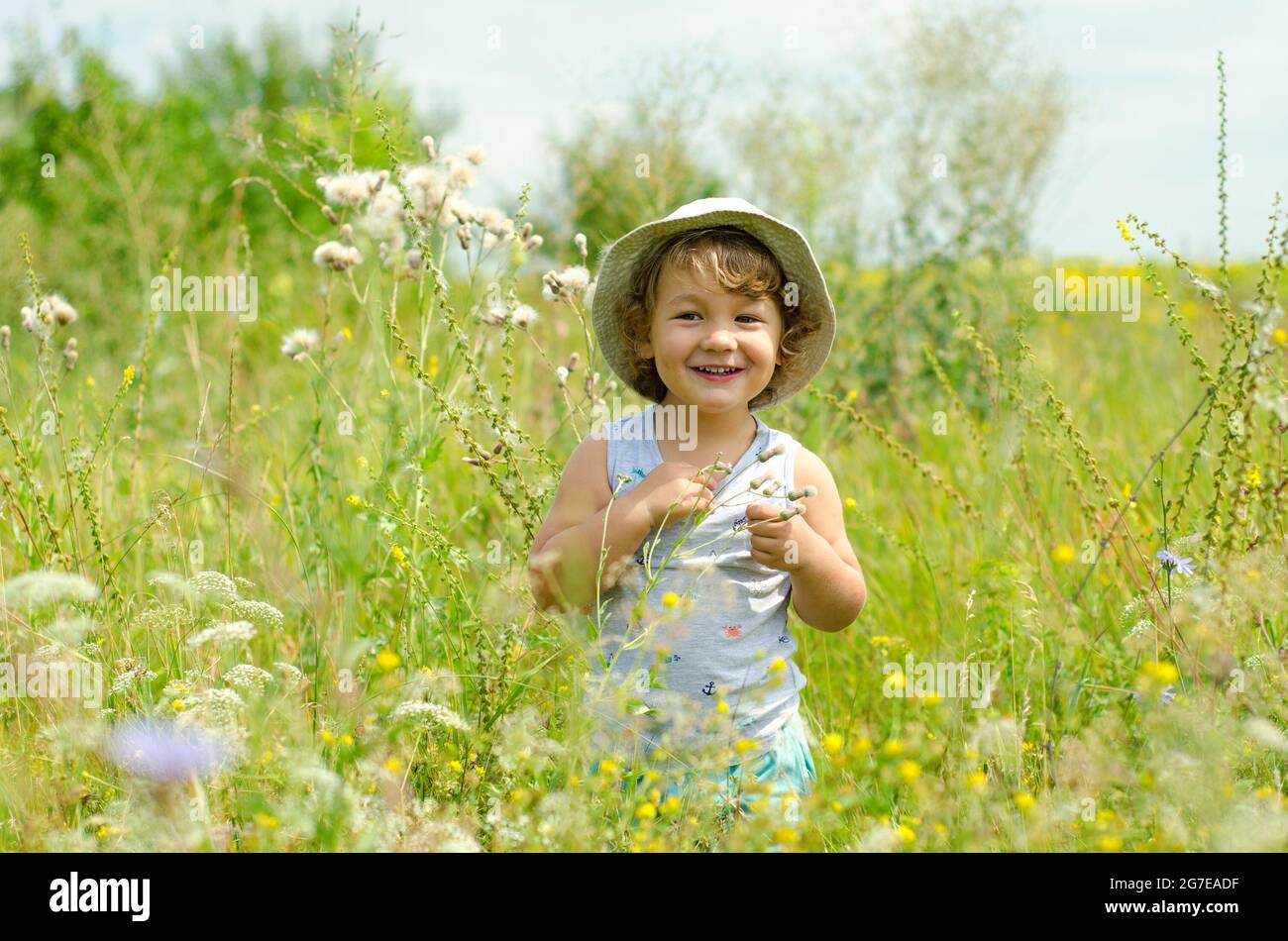little boy in the meadow Stock Photo - Alamy