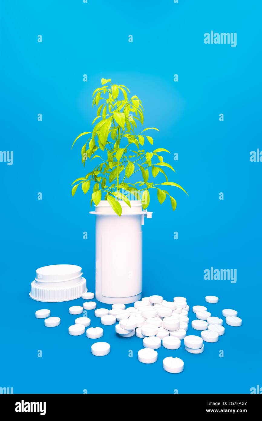 3d Rendering of drugs with growing three - concept for biotech and ...