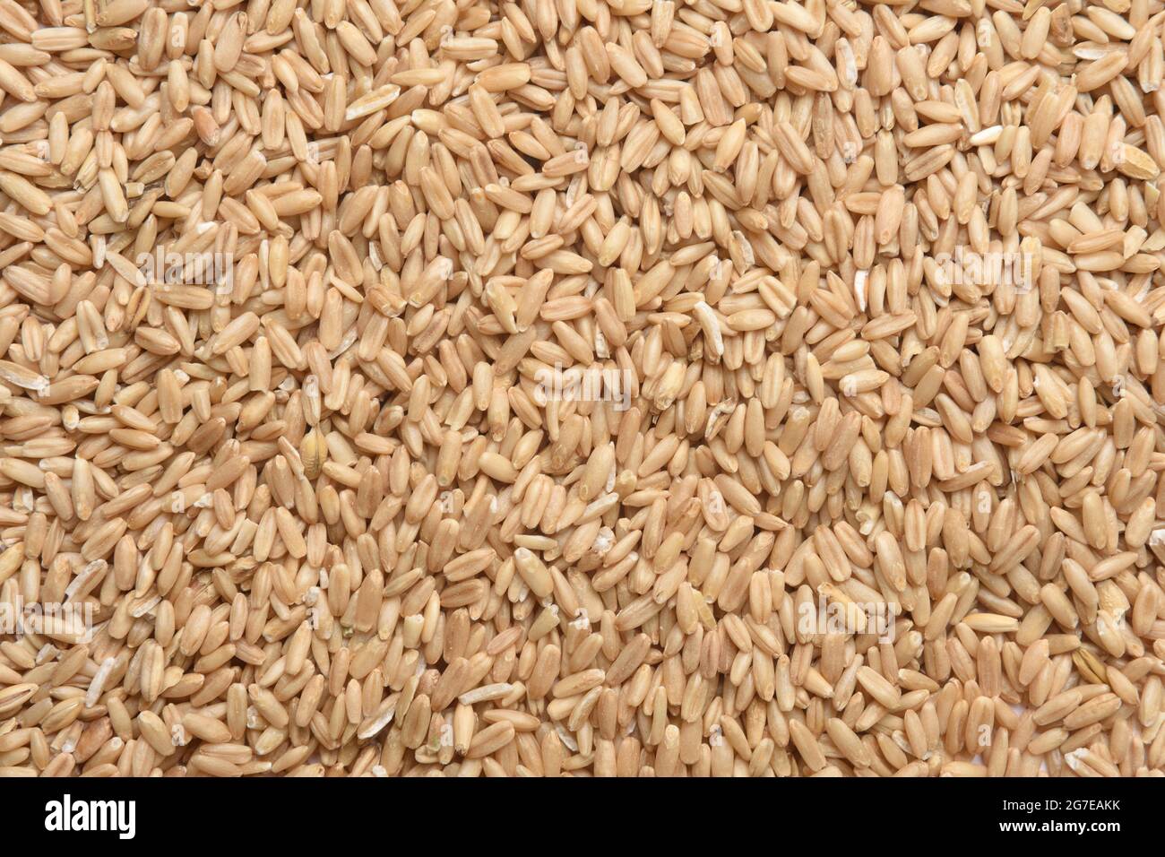 textured of peeled barley on white background Stock Photo - Alamy