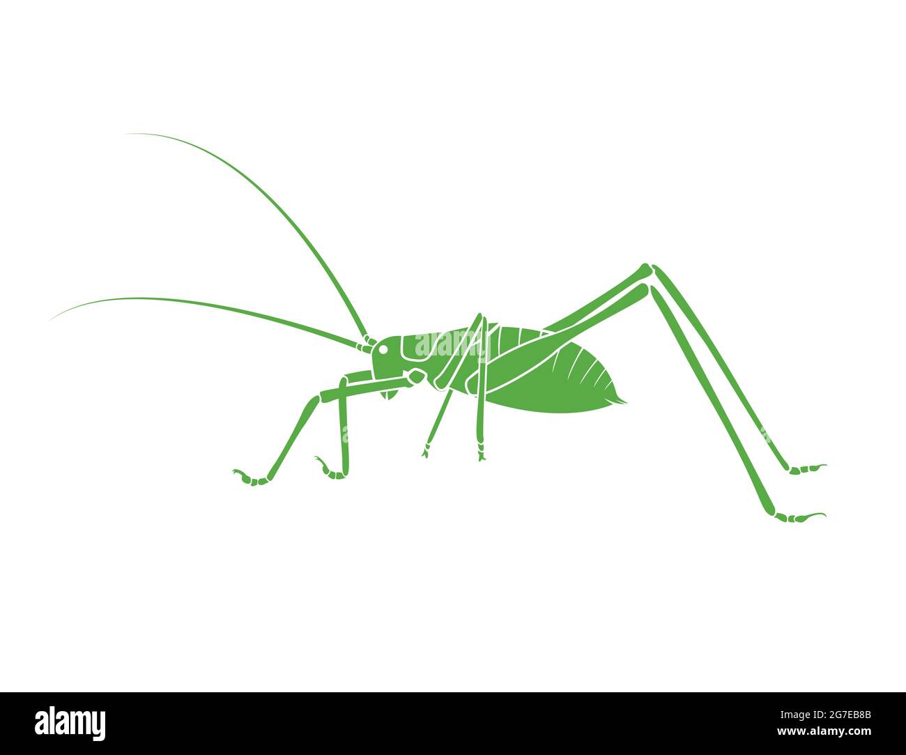 Insect outdoors macro Stock Vector Images - Alamy