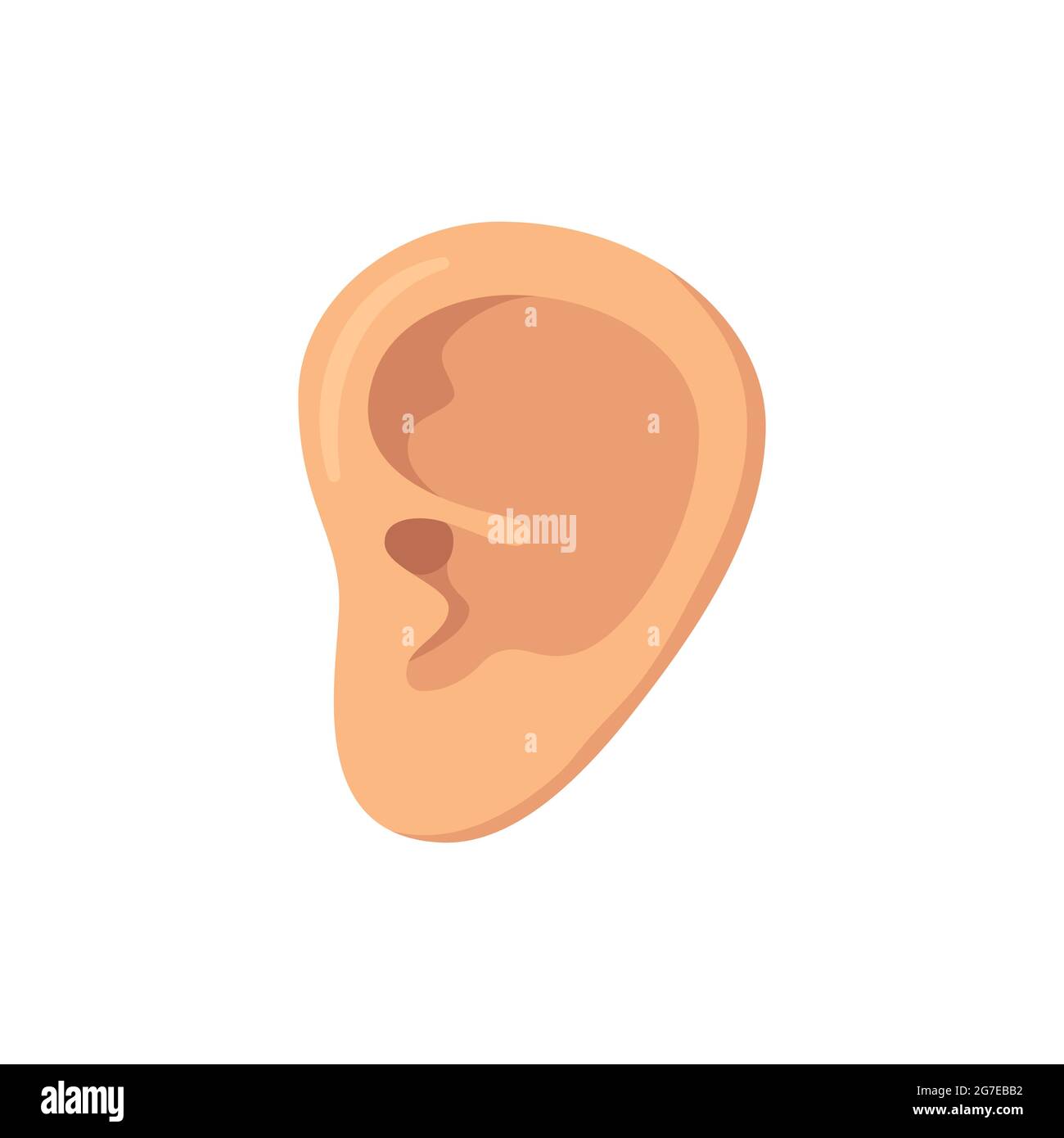 Human ear in front. The ear is like a sense organ. Part of the face ...