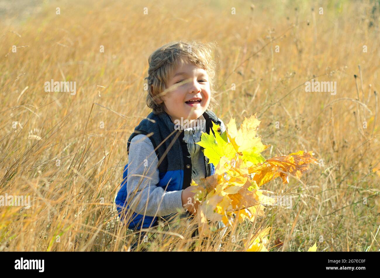 little boy with autumn leaves outdoors Stock Photo - Alamy