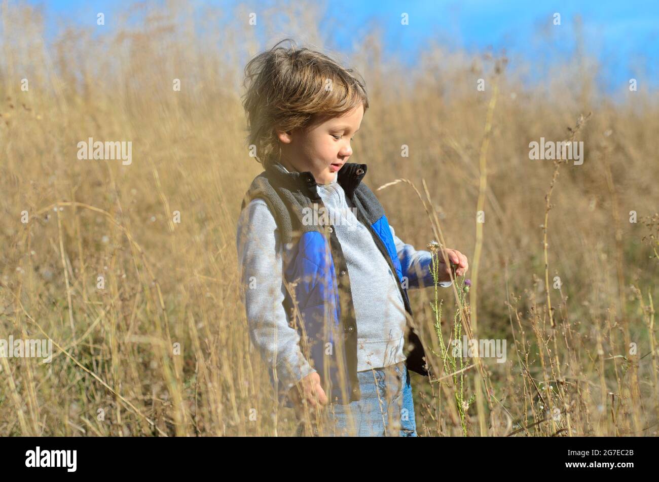 little boy walking at rural field Stock Photo - Alamy
