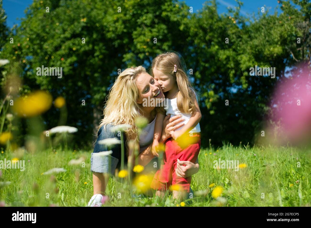 Mother and daughter in a sunlit meadow with lots of flowers, hugging each other Stock Photo - Alamy