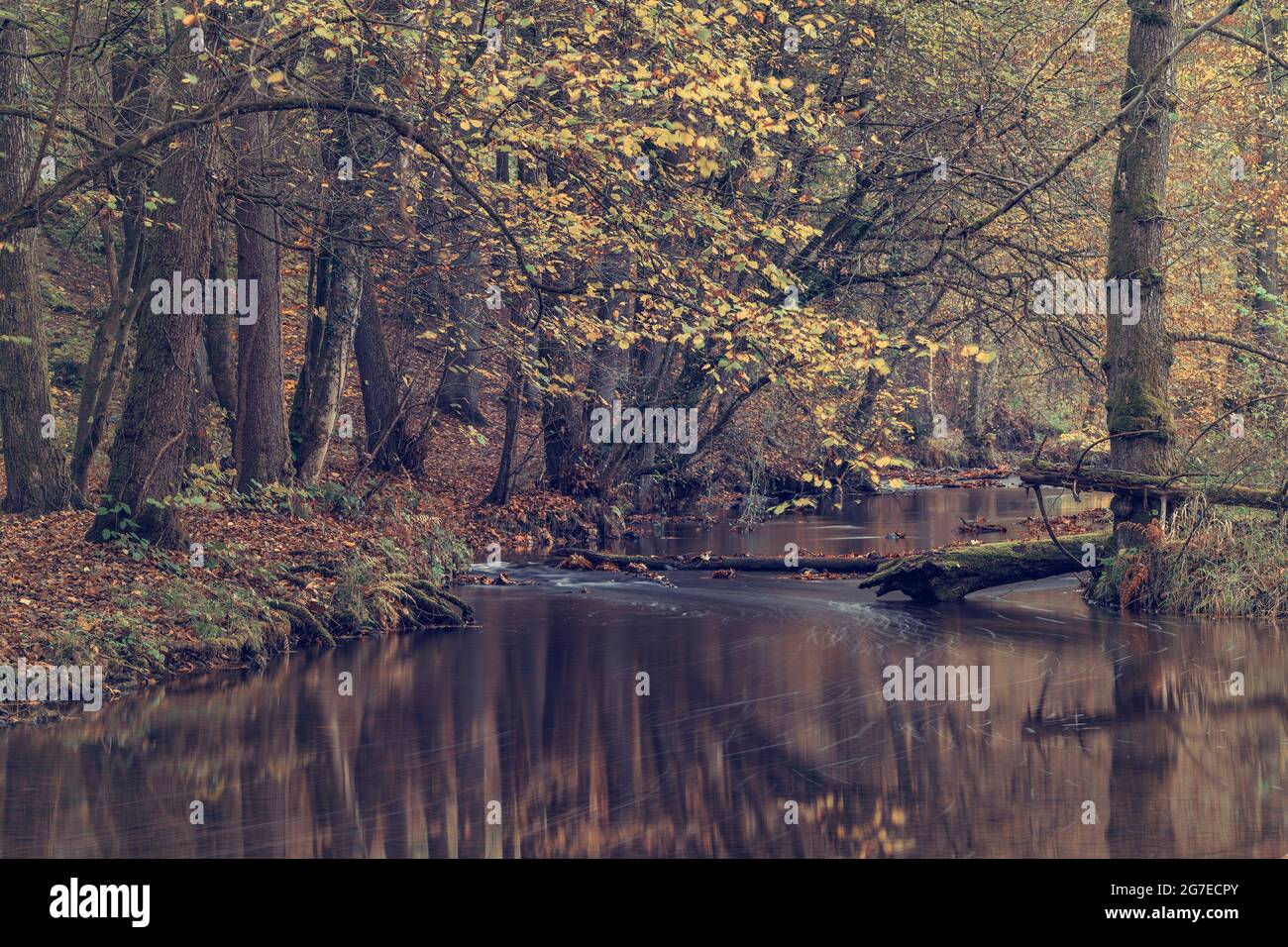 Wild river in autumn hi-res stock photography and images - Alamy