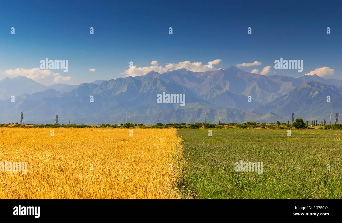 Two beautiful fields hi-res stock photography and images - Alamy