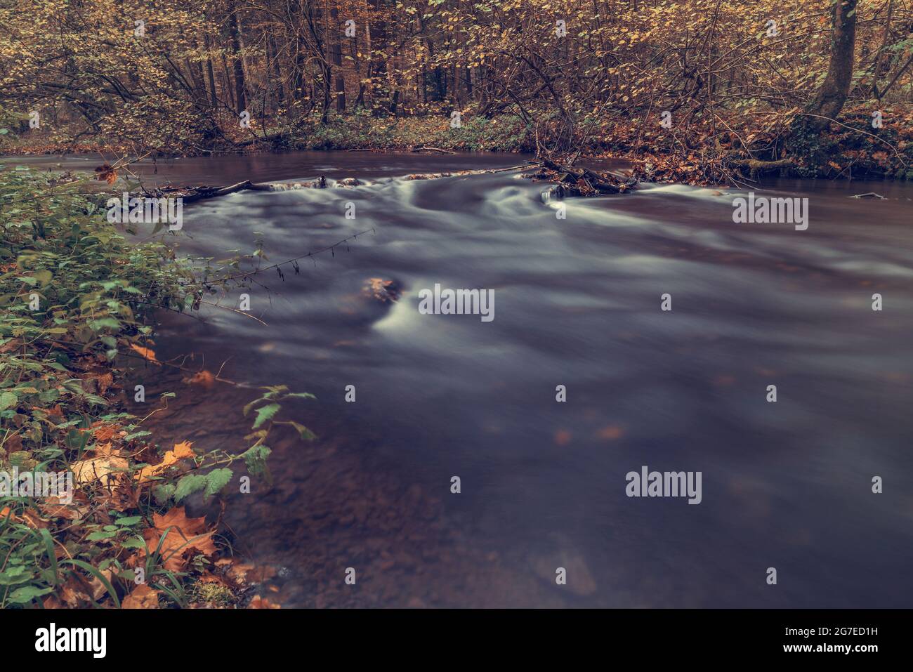 Wild river in autumn forest, Germany. Long exposure Stock Photo - Alamy
