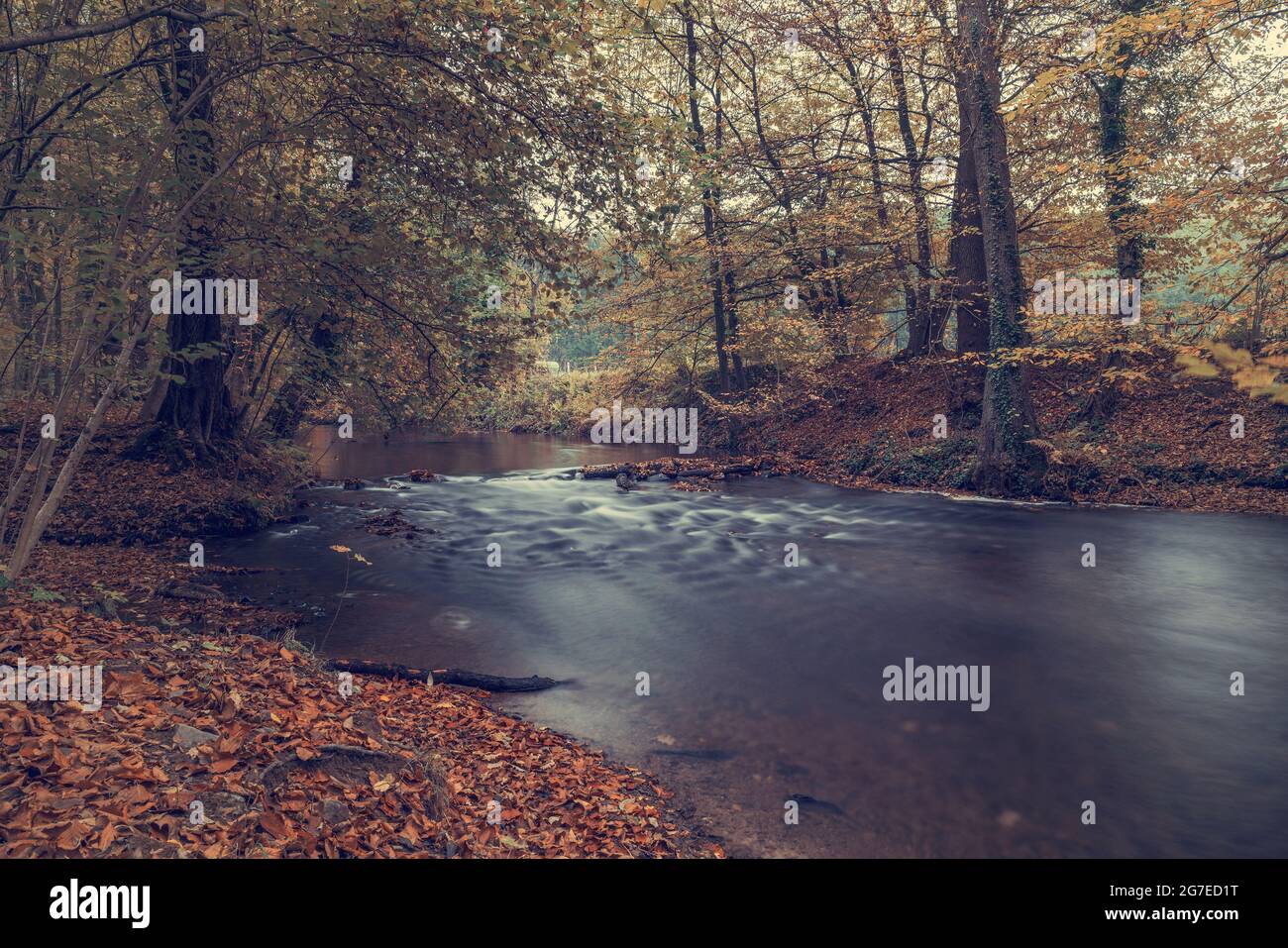 Wild river in autumn forest, Germany. Long exposure Stock Photo - Alamy