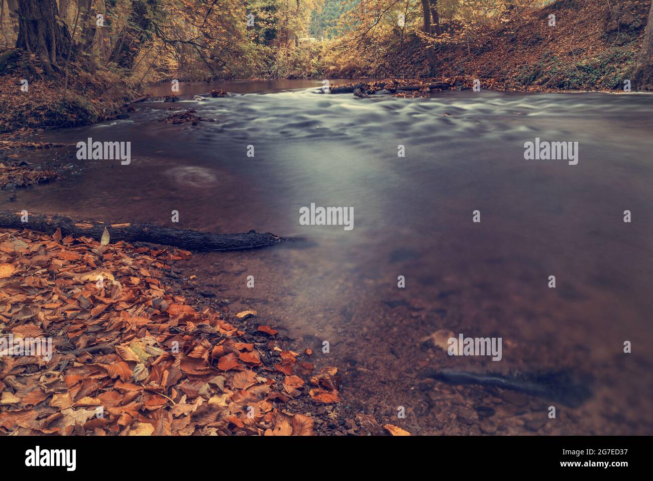 Wild river in autumn hi-res stock photography and images - Alamy