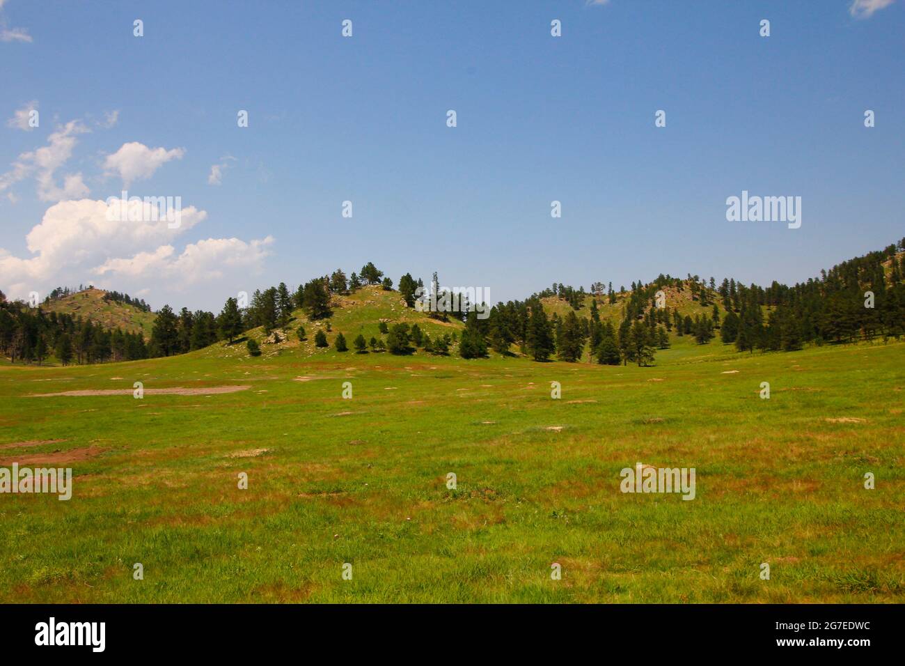 Views of Wind Cave National Park in Summer, South Dakota Stock Photo ...