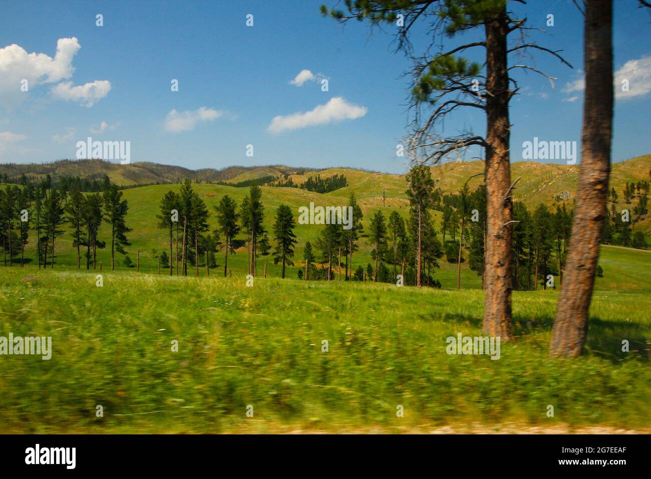Views of Wind Cave National Park in Summer, South Dakota Stock Photo ...
