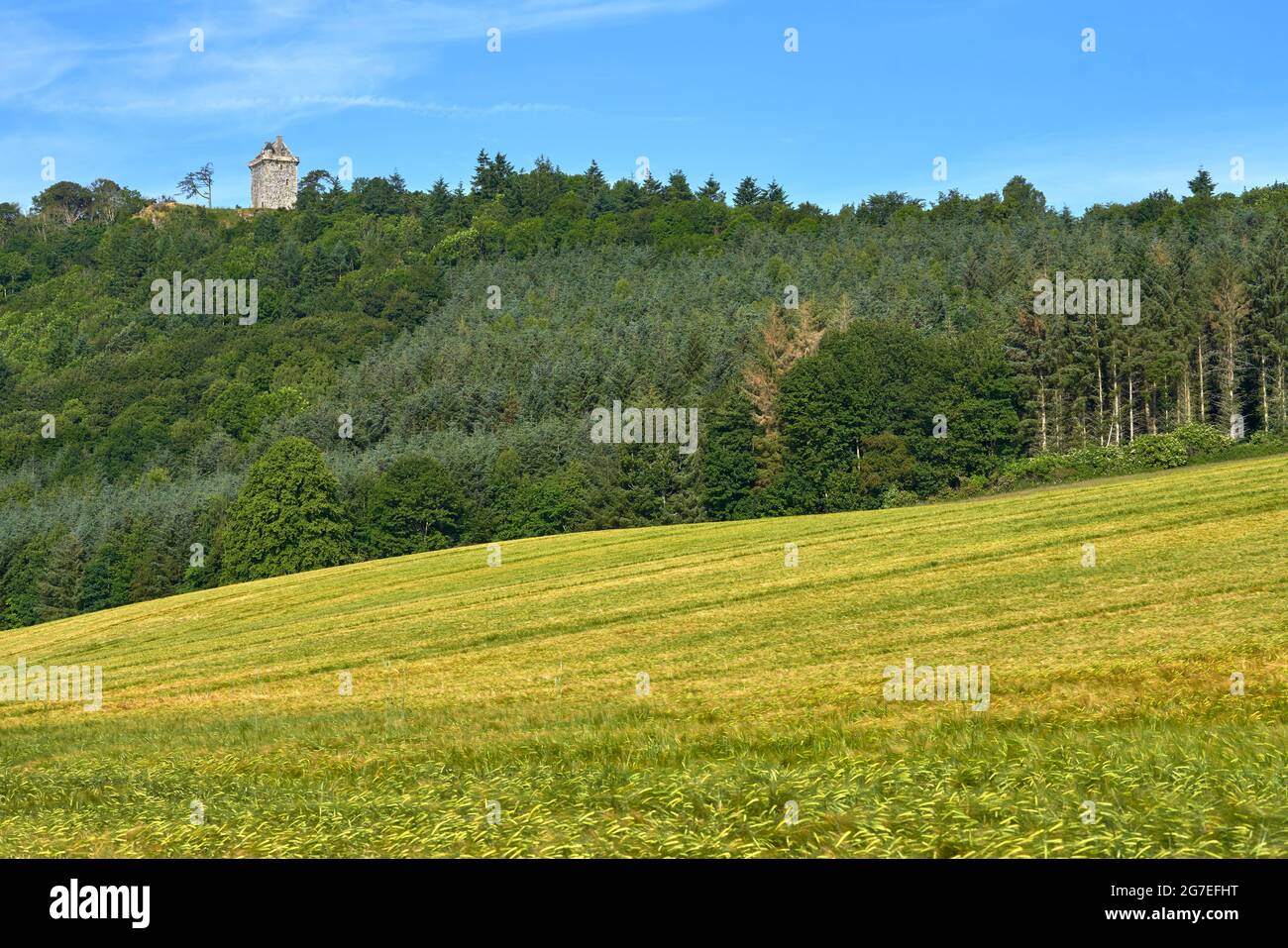 Looking out over ripening crops hi-res stock photography and images - Alamy