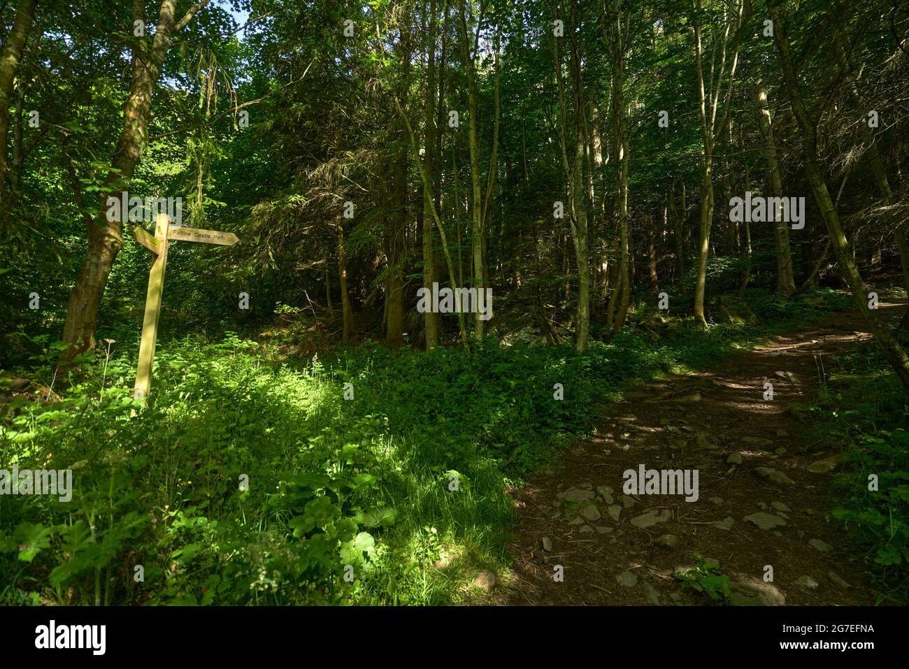 Earl of minto hi-res stock photography and images - Alamy