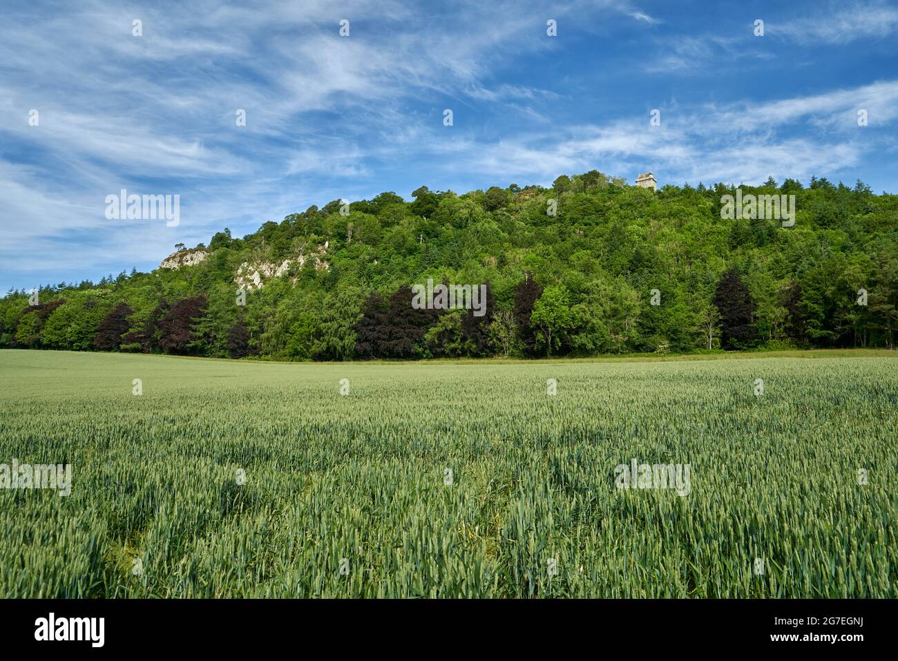 Fatlips Castle, a Scottish Borders icon perched atop Minto Crags ...