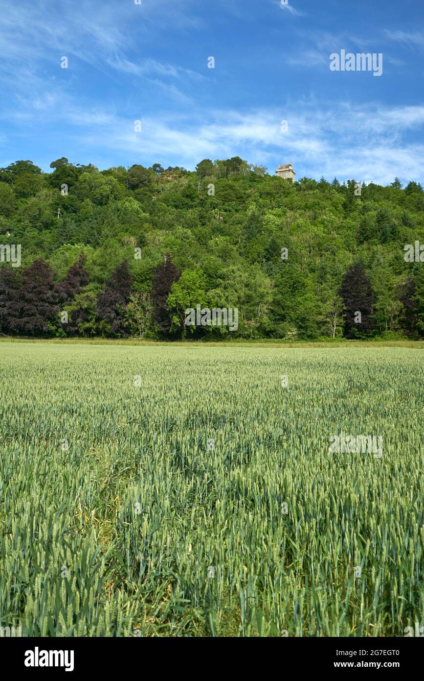 Looking out over ripening crops hi-res stock photography and images - Alamy