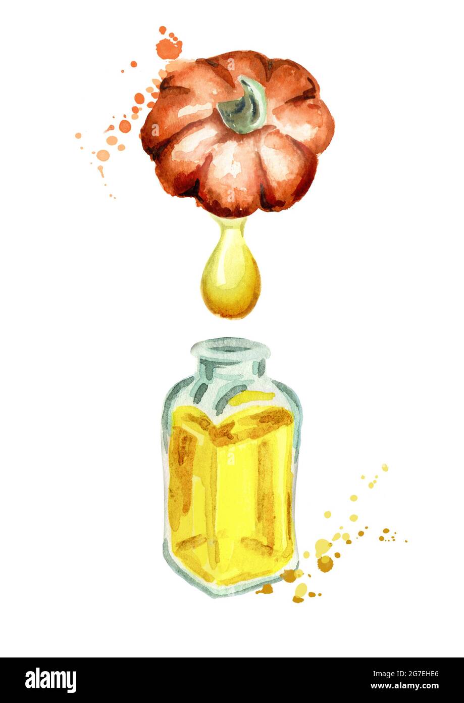 Natural pumpkin seed oil.Hand-drawn watercolor illustration Stock Photo ...