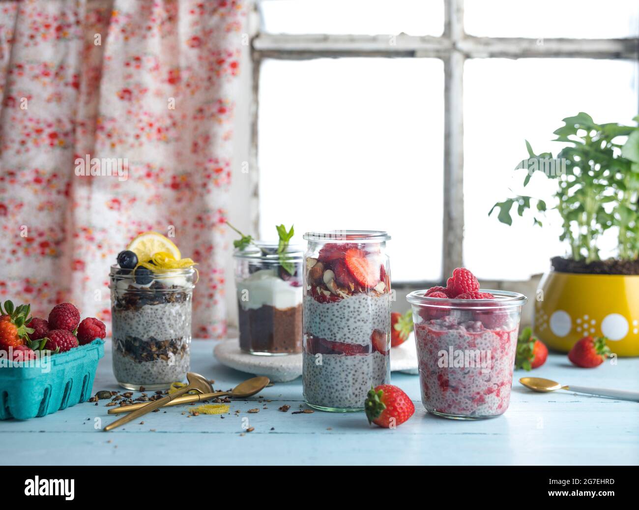 Chia pots hi-res stock photography and images - Alamy