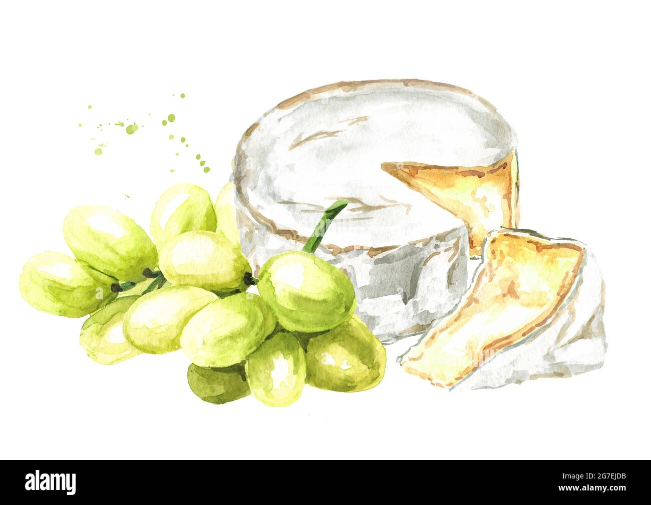 Brie type of cheese. Ripe Camembert, white mould Italian, French cheese ...