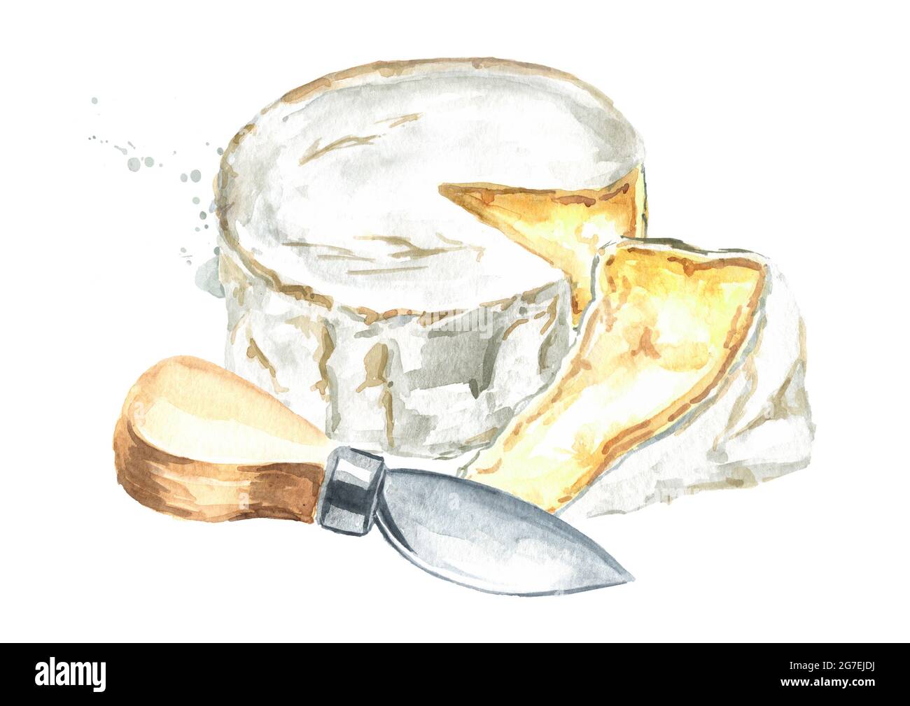 Brie type of cheese. Ripe Camembert, white mould Italian, French cheese ...