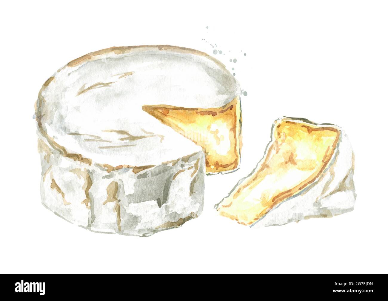 Brie type of cheese. Ripe Camembert, white mould Italian, French cheese ...