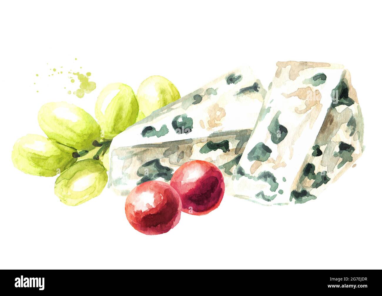 Blue mould Italian, French chees with grapes. Hand drawn watercolor ...