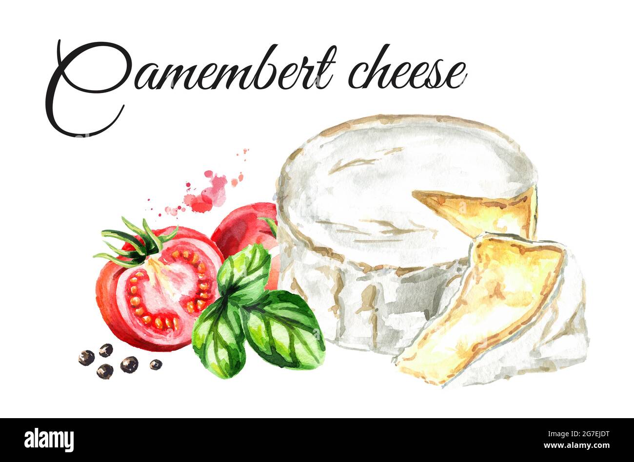 Brie drawing Cut Out Stock Images & Pictures - Alamy