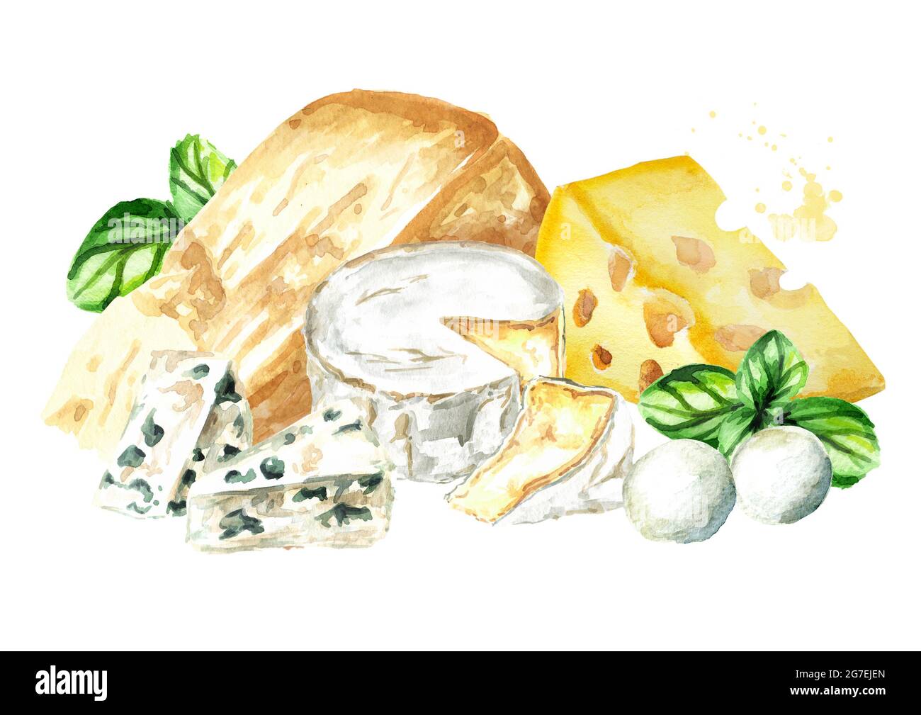 Various kinds of cheese. Hand drawn watercolor illustration, isolated ...