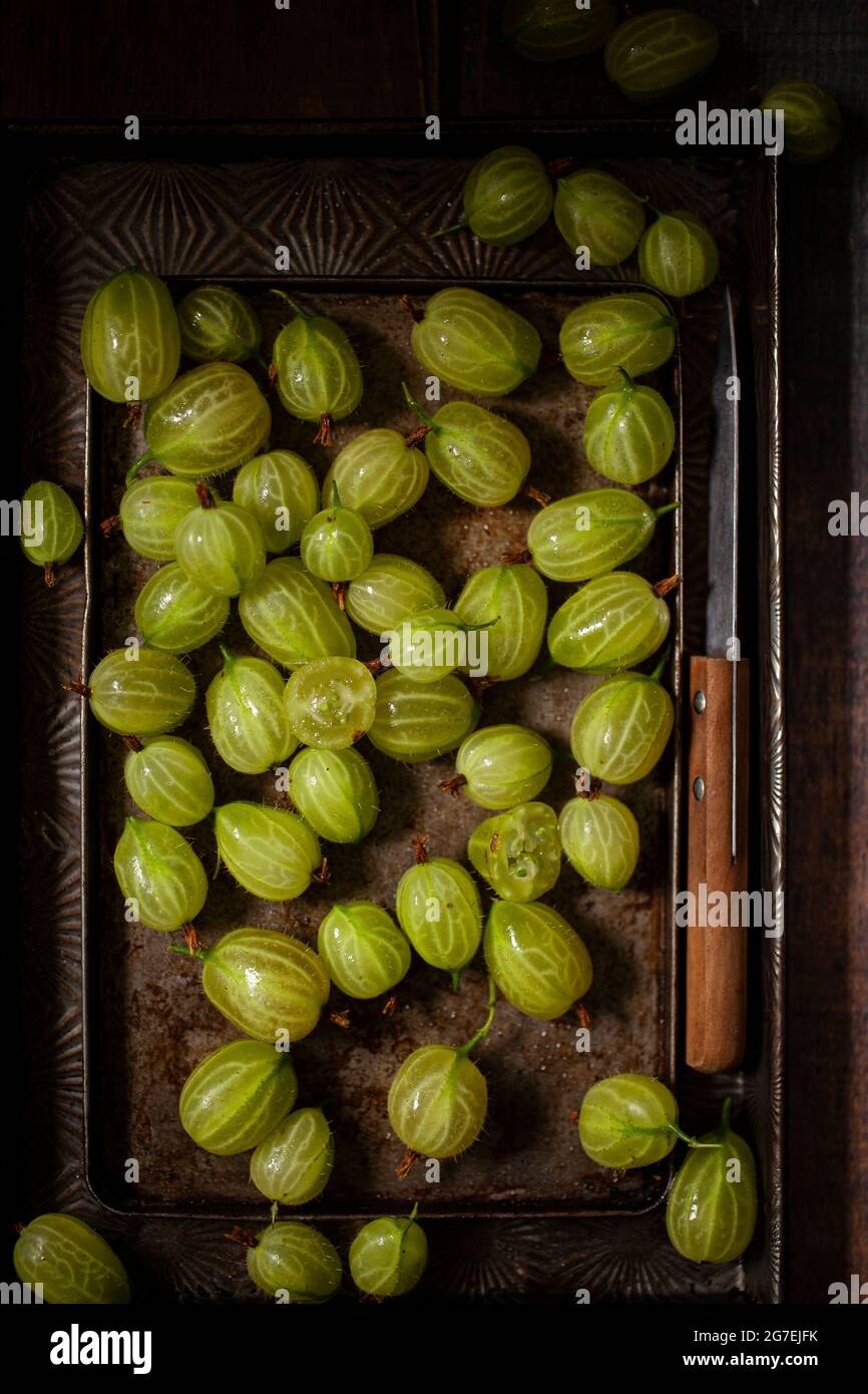 Raw green gooseberries on a metal baking sheet Stock Photo - Alamy