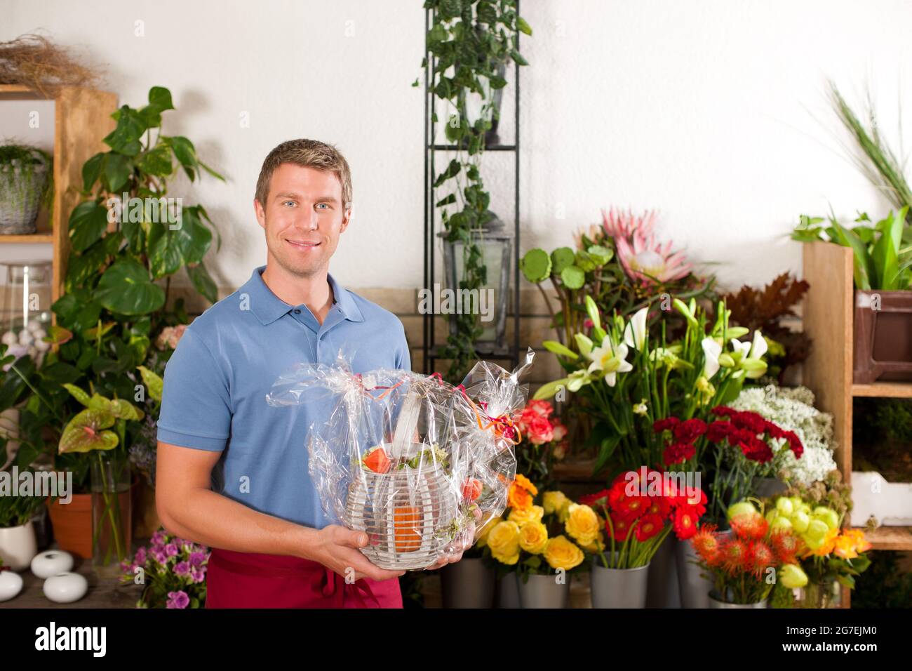 Male Florist in flower shop or nursery presenting his plants on display ...
