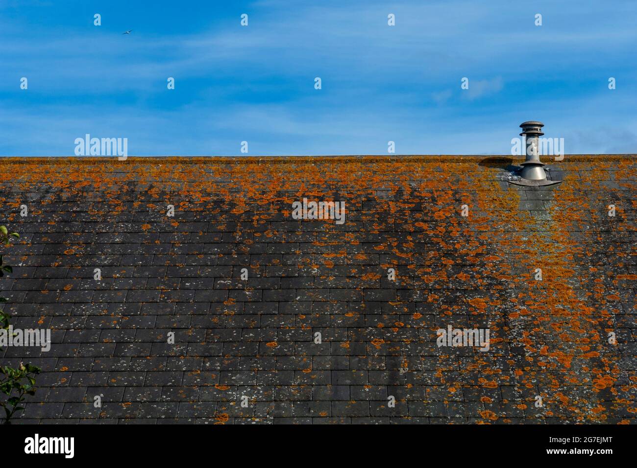 Devon roof hi-res stock photography and images - Alamy
