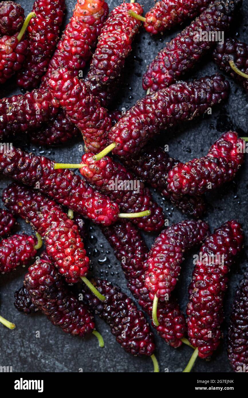 Fresh ripe Mulberries on dark background Stock Photo - Alamy