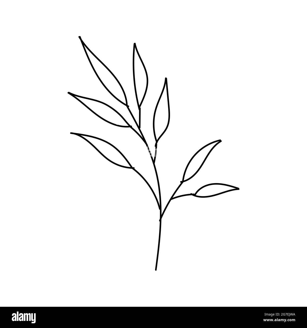 Hand drawn line drawing of a leaf. Vector illustration Stock Vector ...