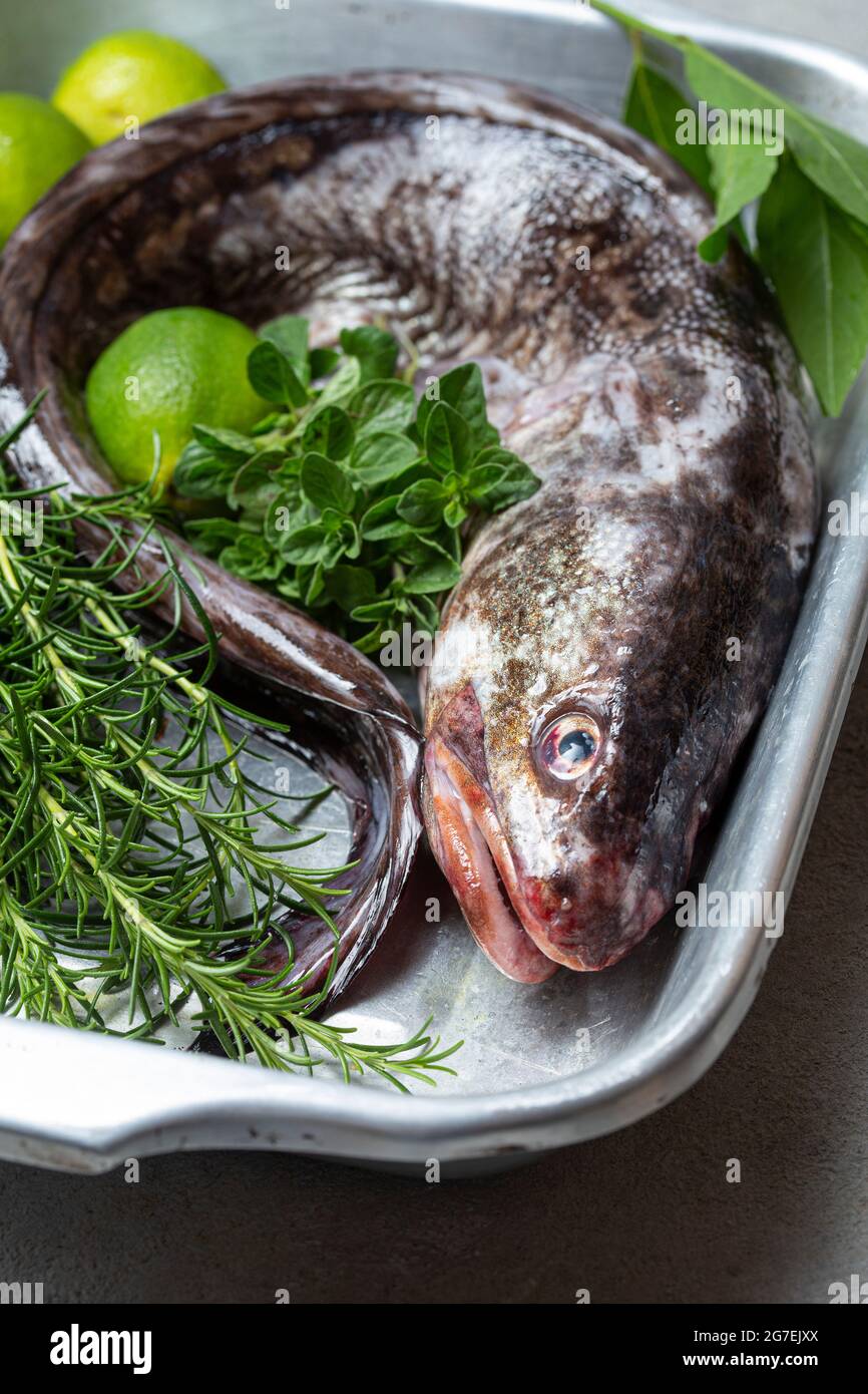 Pacific eel fish congrio with fragant herbs and lemon Stock Photo - Alamy