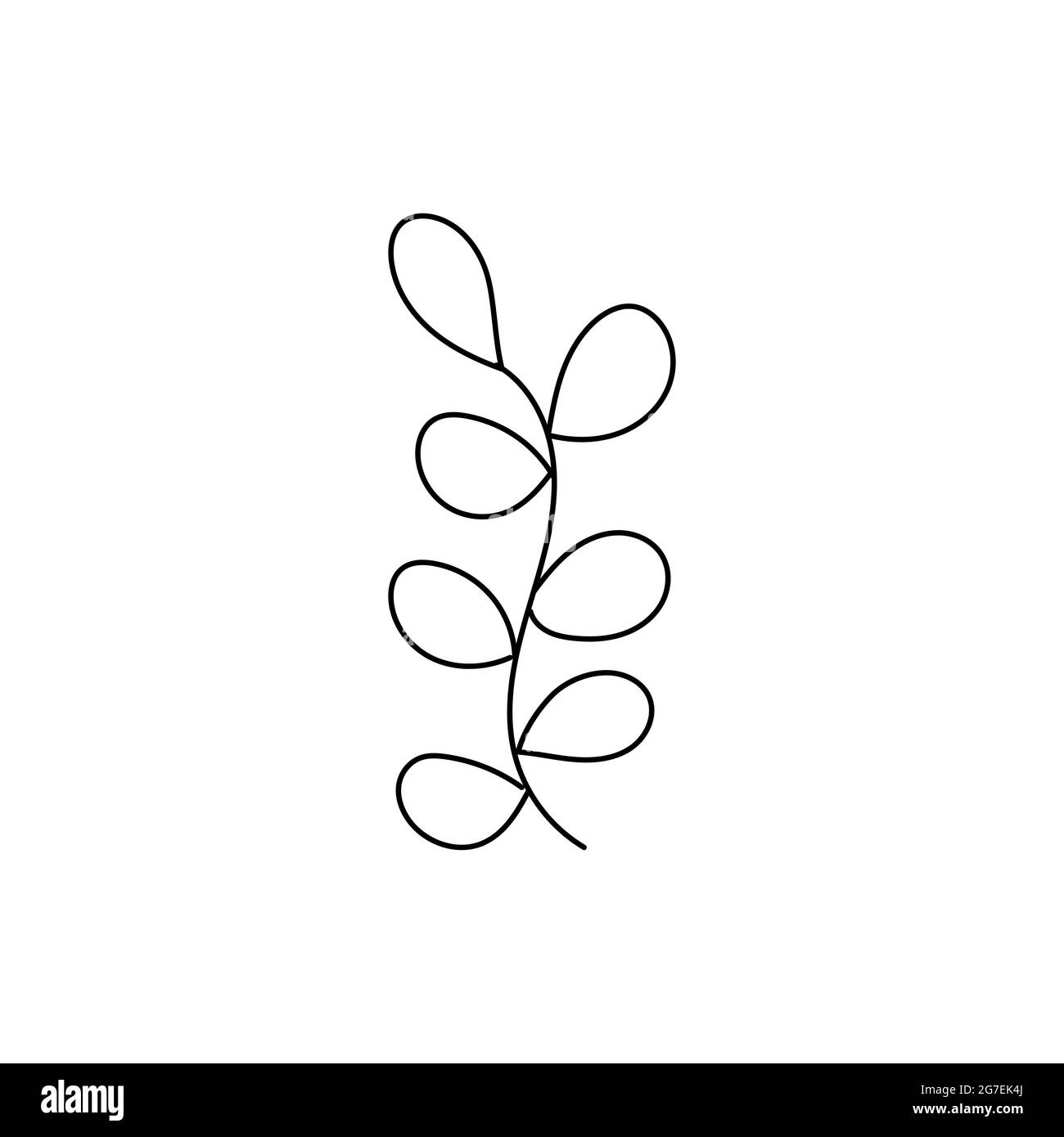 Hand drawn line drawing of a leaf. Vector illustration Stock Vector ...