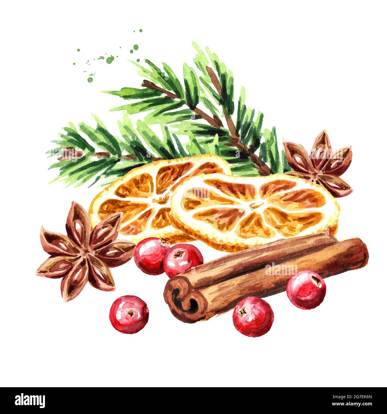 Christmas spices dried orange slices, star anise and cinnamon stick ...