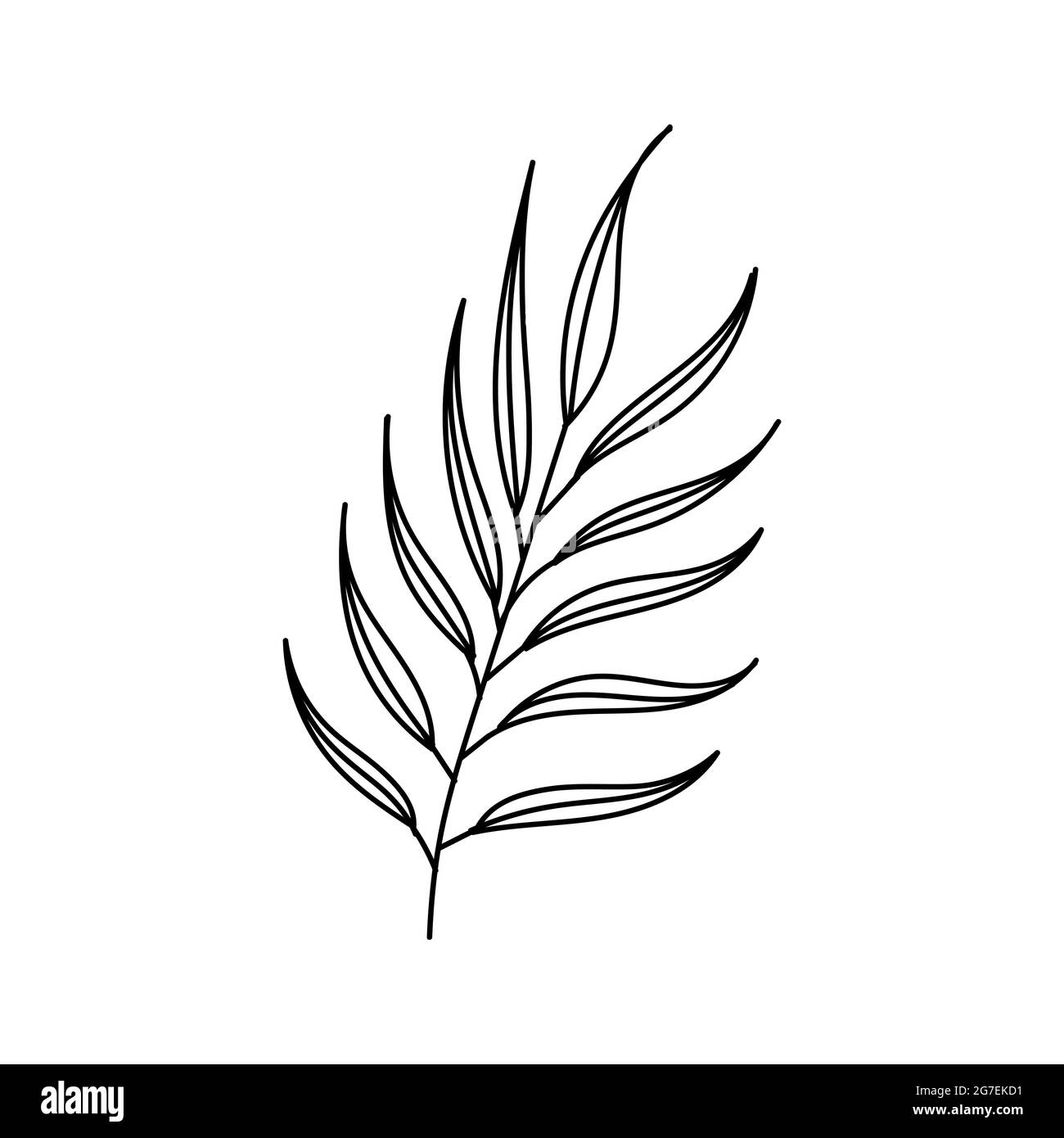 Hand drawn line drawing of a leaf. Vector illustration Stock Vector ...