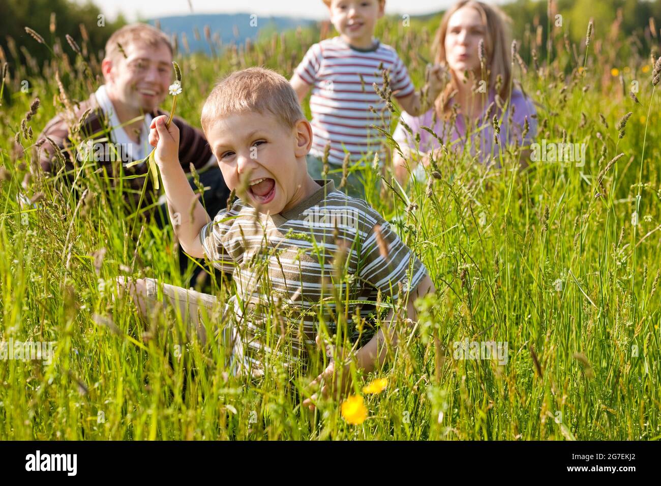 Very happy family with two kids sitting in a meadow in the summer sun ...