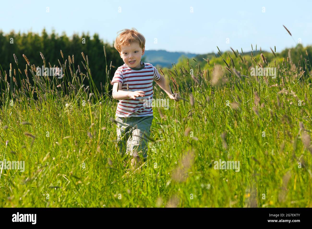 Little boy running down a meadow in a beautiful landscape in summer ...