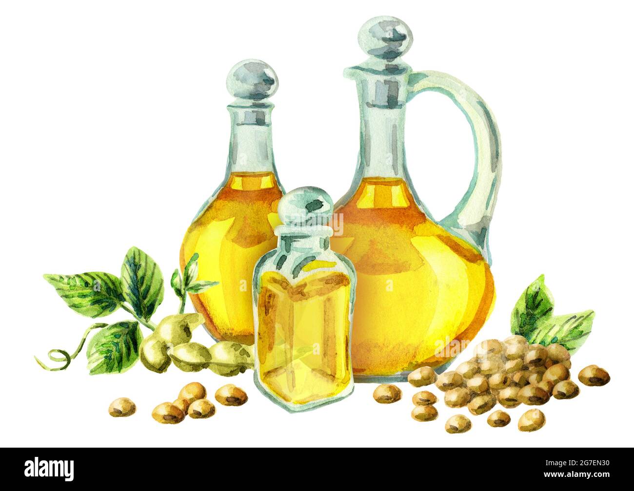 Hand drawn watercolor composition with bottles of Soy organic oil Stock ...