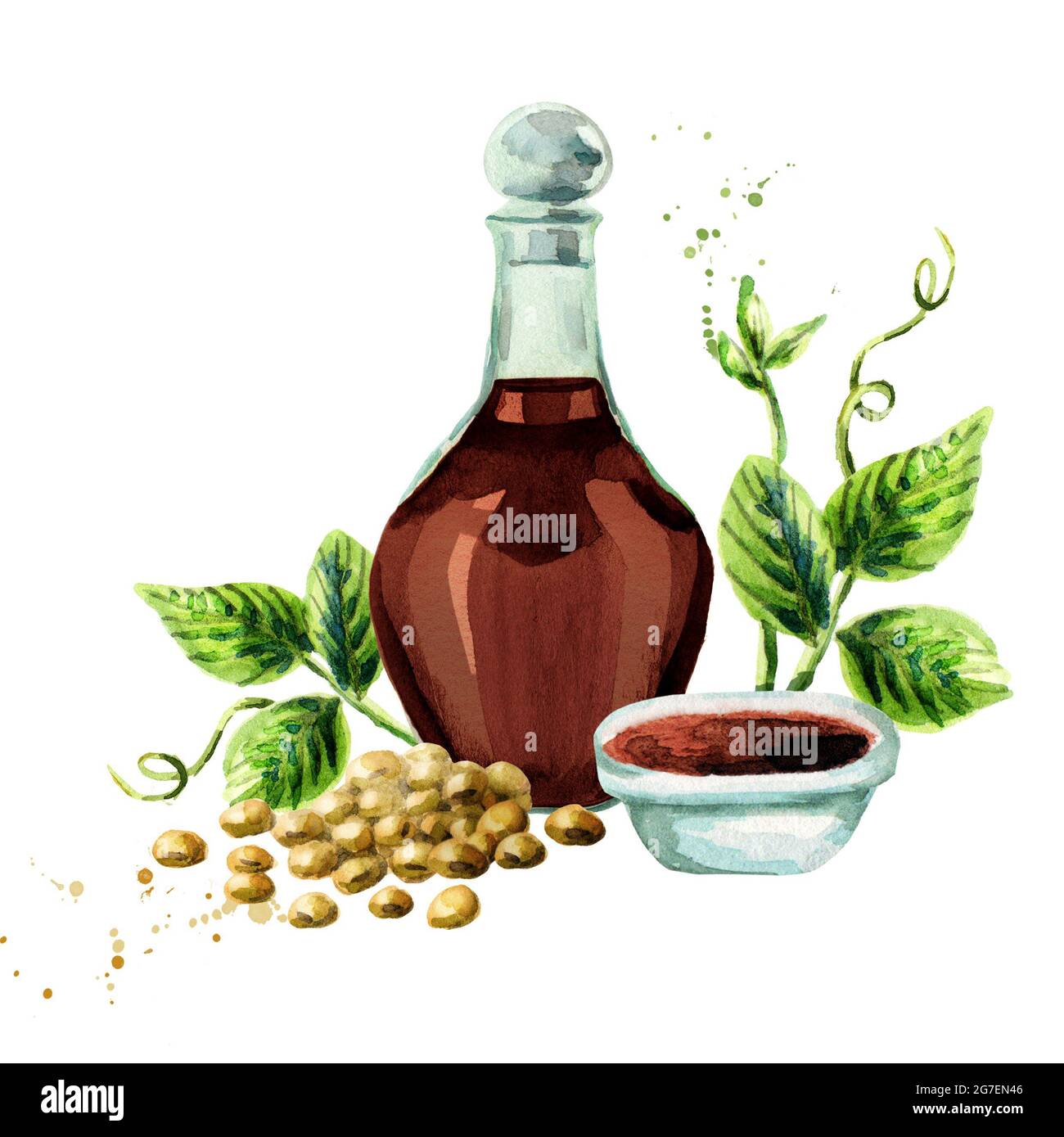 Soy sauce composition with bottle, saucer, beans and plant. Watercolor ...