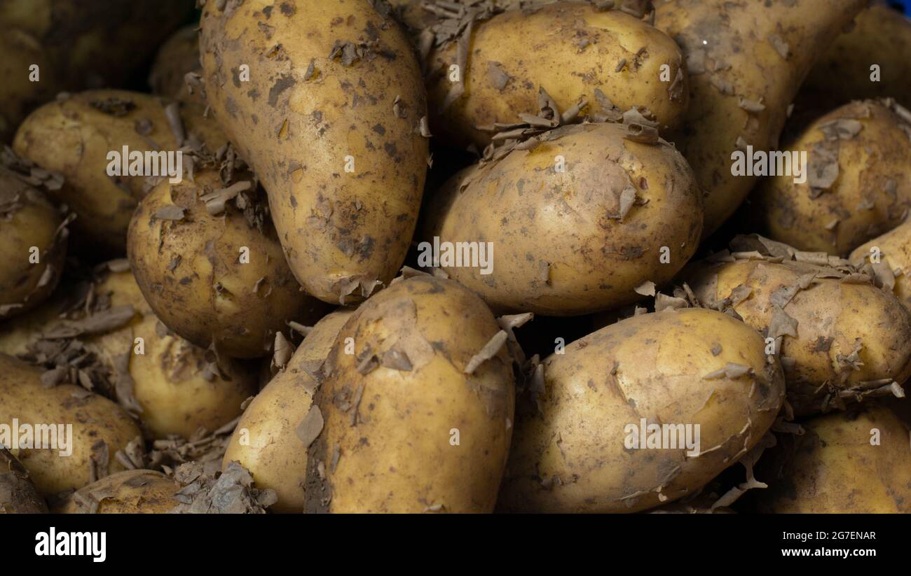 Closeup shot fresh potatoes hi-res stock photography and images - Alamy