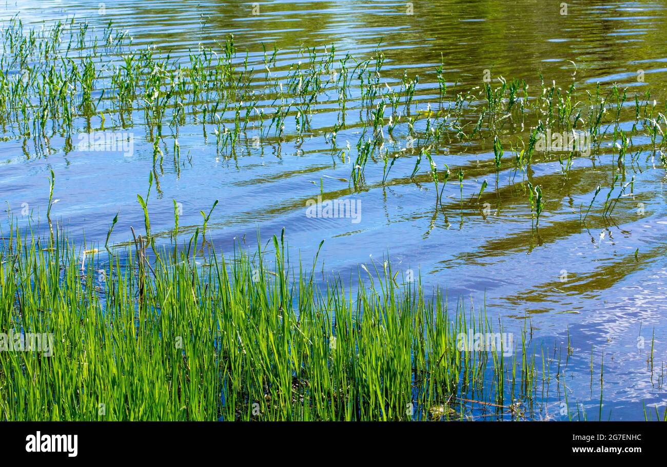 Rustic river hi-res stock photography and images - Alamy
