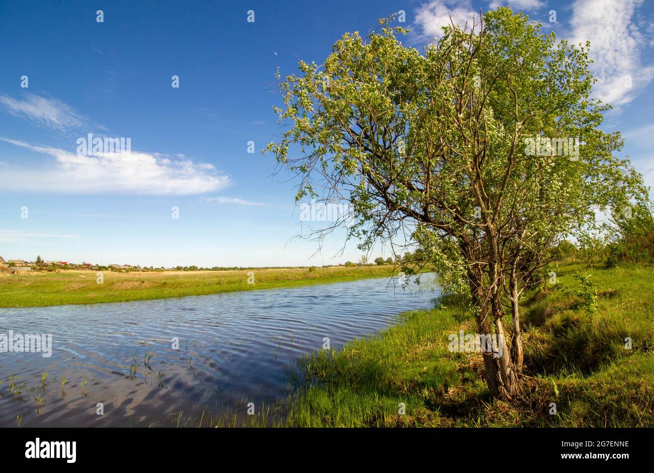 The crown honeymoon hi-res stock photography and images - Alamy